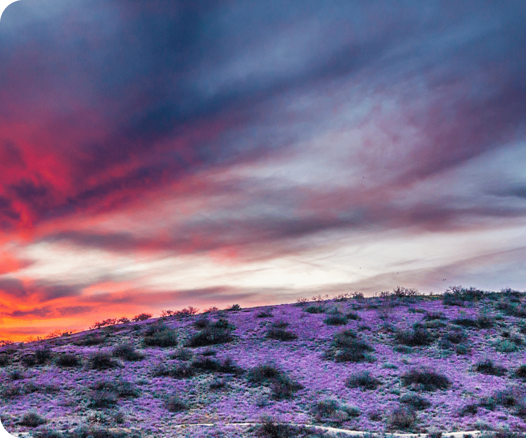 Explore Arizona's Tonto National Forest and Roosevelt Lake
